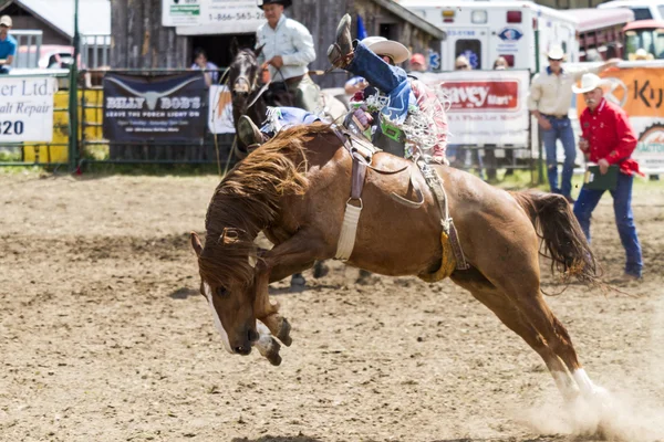 Rodeo Bronco Riders – Stock Editorial Photo © Imagecom #74965983