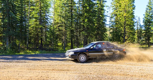 Car Racing Autumn Forest Road Vehicle Suv Overcomes Obstacles Auto ...