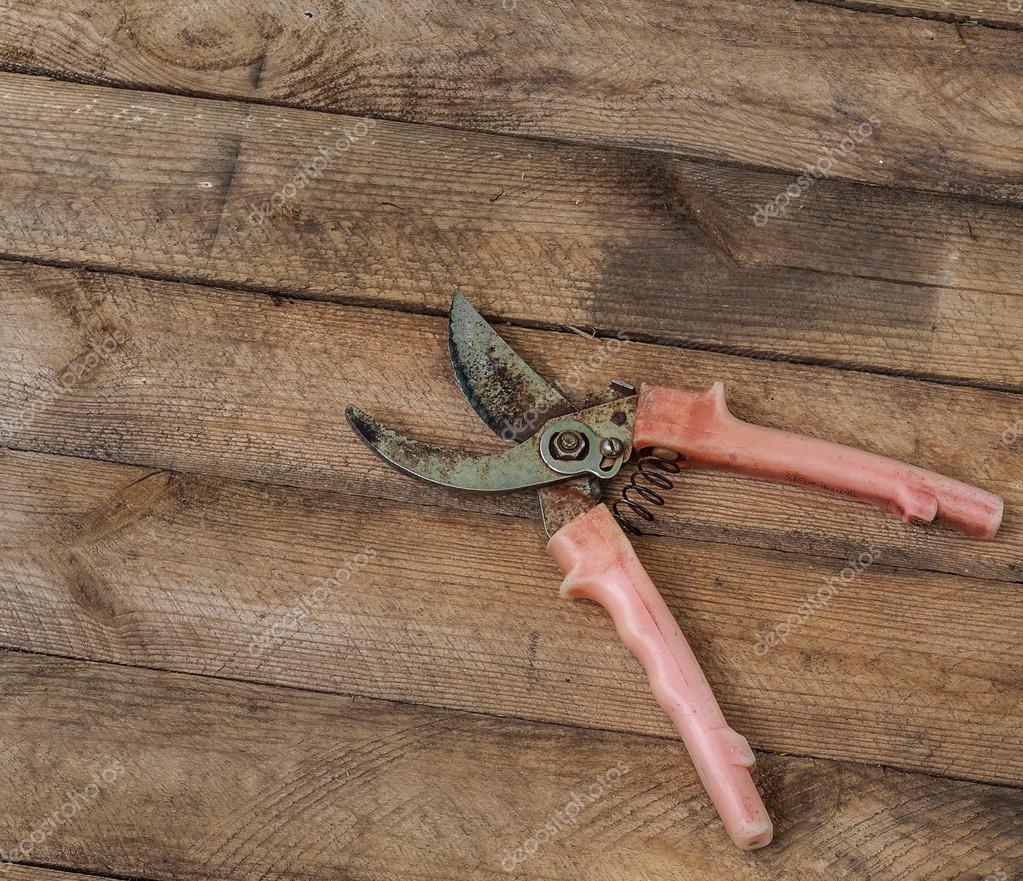 Old garden pruner — Stock Photo © olesia #84371274