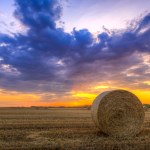 Golden sunset over farm field Stock Photo by ©elenathewise 4471035