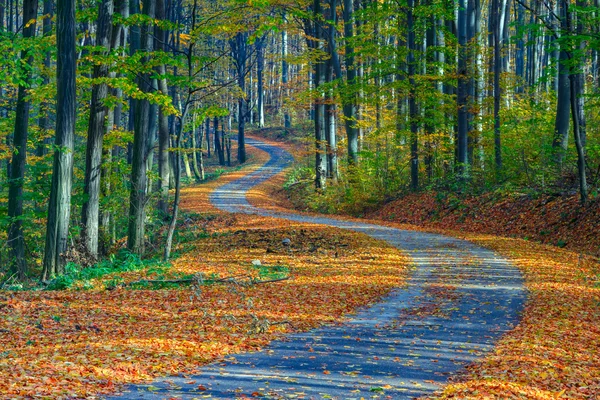 Winding path Stock Photos, Royalty Free Winding path Images | Depositphotos