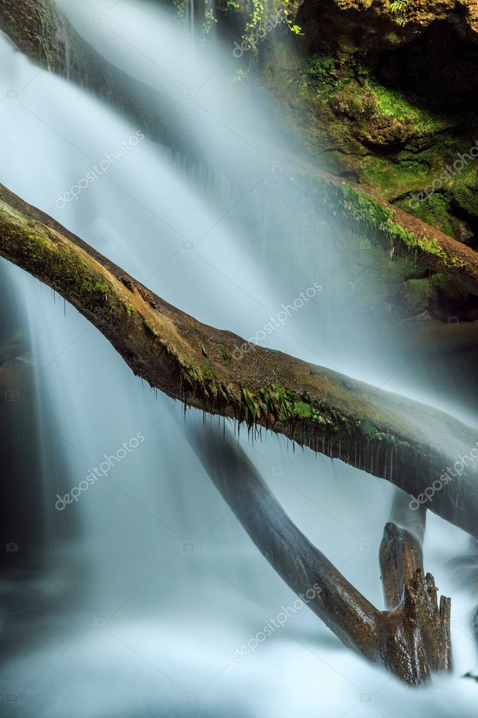 Cascada La Vaioaga in Cheile Nerei national park — Stock Photo © kavita ...