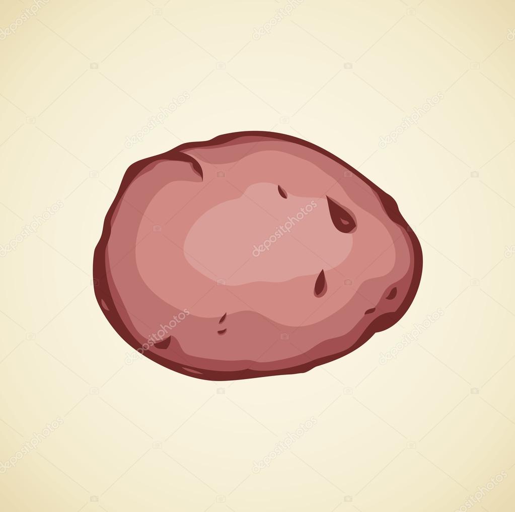 Potato. Vector drawing Stock Vector by ©Marinka 100479590