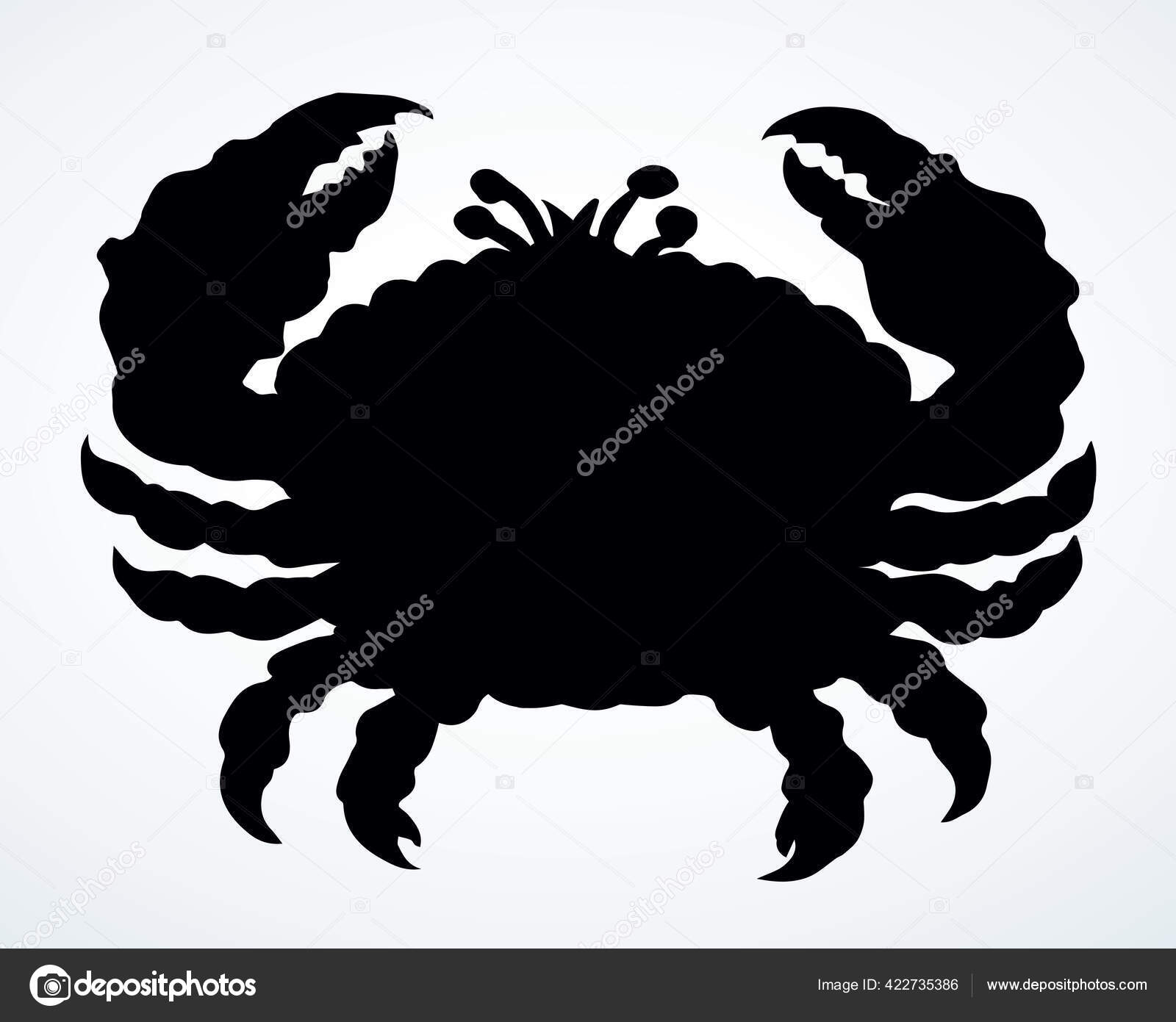 Big Old Healthy Decapod Crawl Light Sand Dark Ink Hand Stock Vector by ...