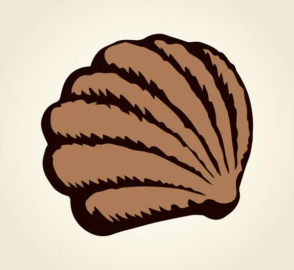 Pecten shell Vector Art Stock Images | Depositphotos