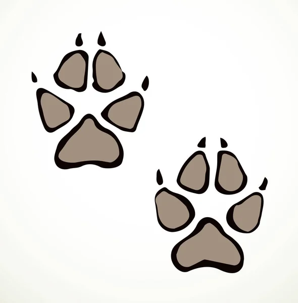 Puma footprint Vector Art Stock Images | Depositphotos
