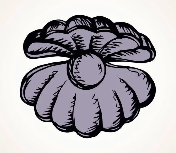 Pecten shell Vector Art Stock Images | Depositphotos