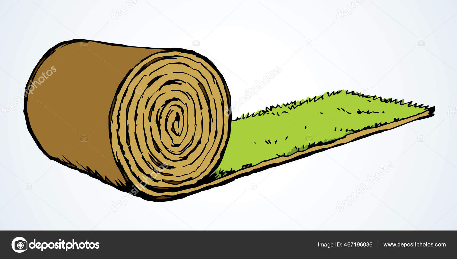 Curl Luxury Vip Reel Unroll Lay White Paper Text Space Stock Vector ...