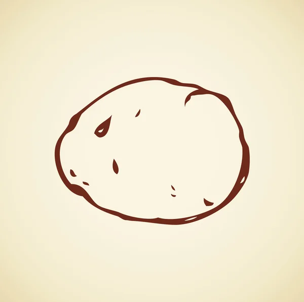 Potato. Vector drawing Stock Vector by ©Marinka 100479590