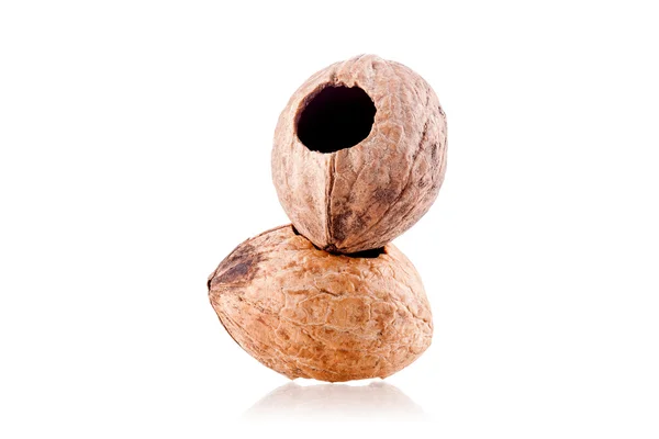 Walnut hole Stock Photos, Royalty Free Walnut hole Images | Depositphotos