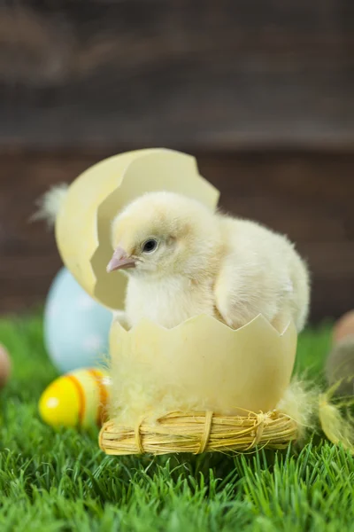 Easter chicken, eggs and decorations - Stock Image - Everypixel