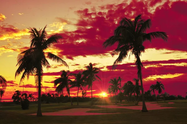 Florida backdrop Stock Photos, Royalty Free Florida backdrop Images ...