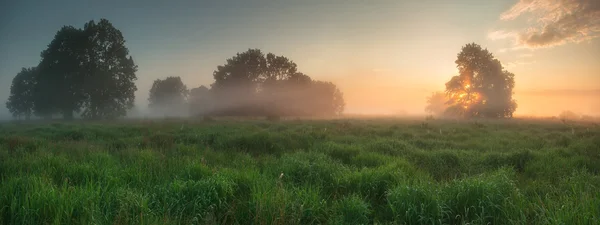 Green landscape sunrise Stock Photos, Royalty Free Green landscape ...
