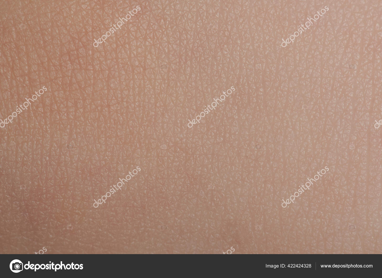 Pattern Clean Human Skin Lines Pores Macro View — Stock Photo © dimarik ...