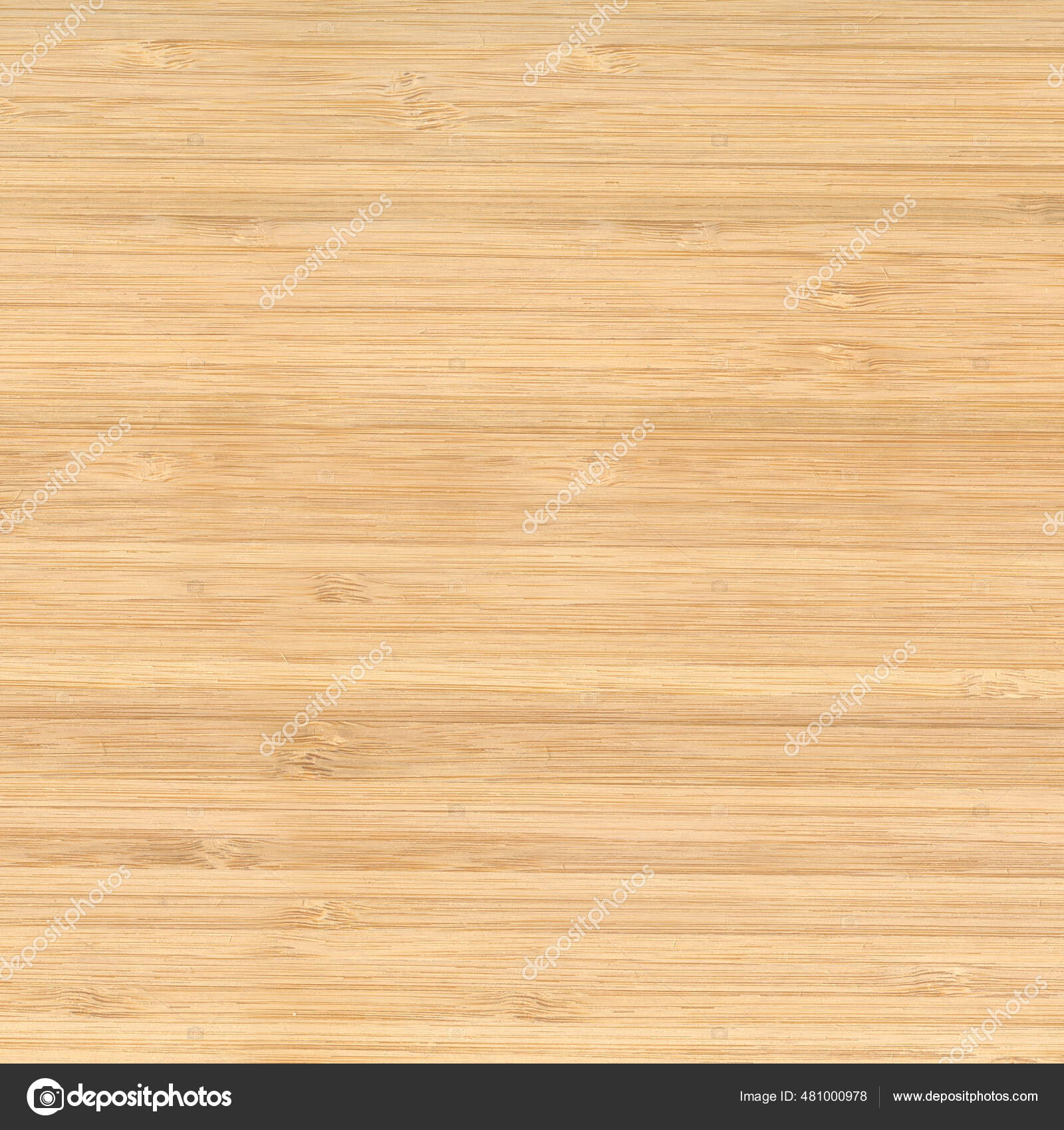 Light Wood Panel Texture