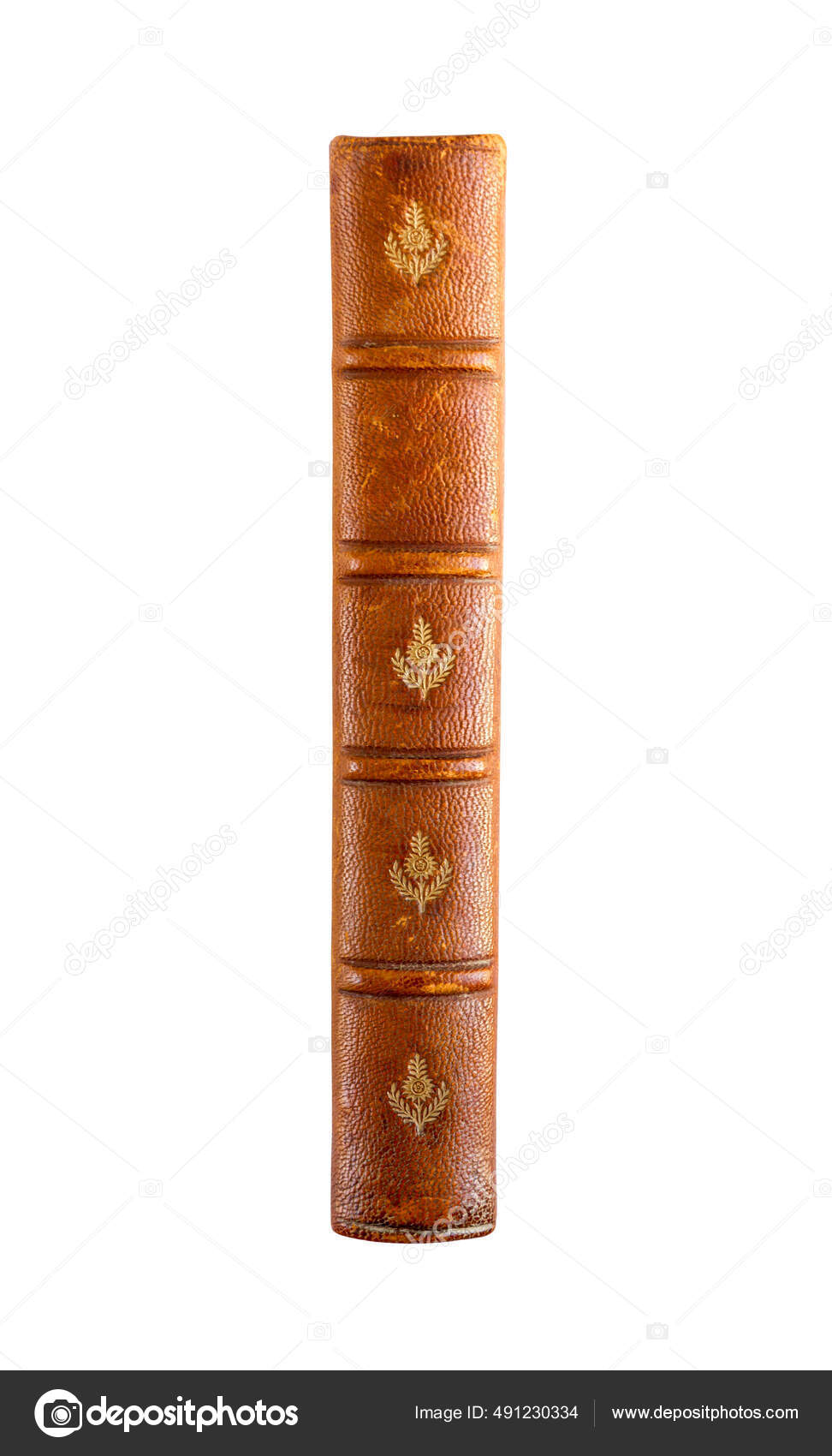 Old Vintage Book Spine Isolated White Background — Stock Photo ...