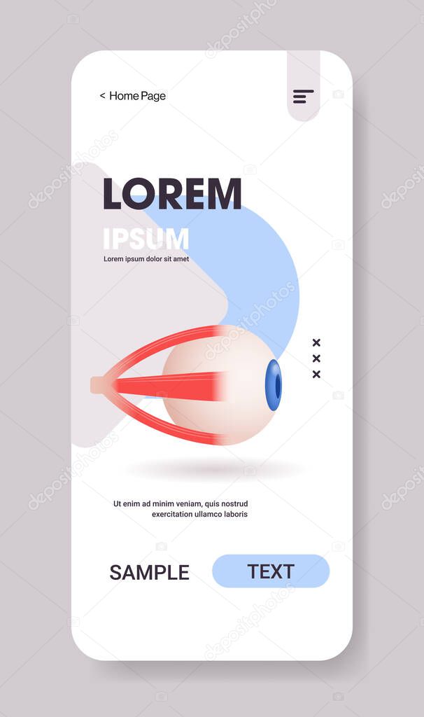 Ojo humano icono órgano interno estructura detallada globo ocular ...