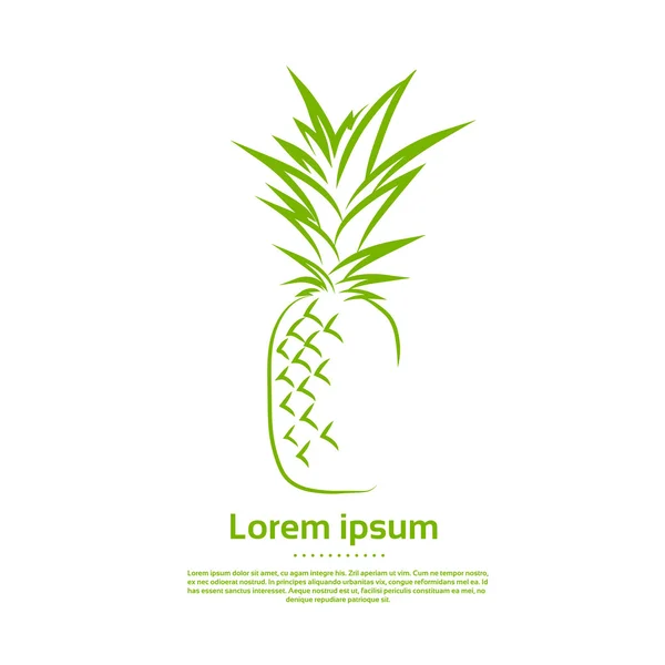 26,914,659 vectores de Logo piña, imágenes vectoriales | Depositphotos