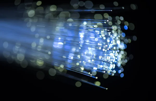 Fiber optical network cable - Stock Image - Everypixel