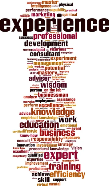 Experience word cloud Stock Vector by ©Boris15 100215784