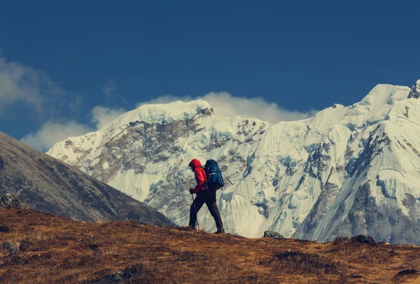 Hiking in Himalaya mountains — Stock Photo © MyGoodImages #86076438