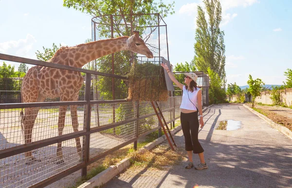 Woman ride giraffe Stock Photos, Royalty Free Woman ride giraffe Images ...