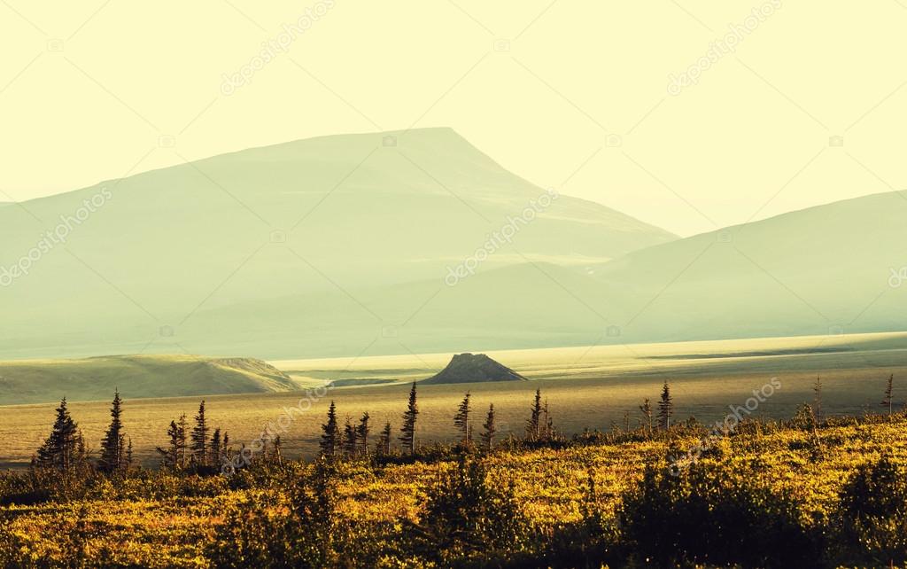 Beautiful Tundra landscape Stock Photo by ©kamchatka 81964414