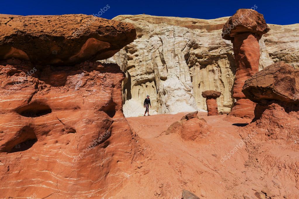 Toadstool hoodoos in Utah desert — Stock Photo © kamchatka #83995198