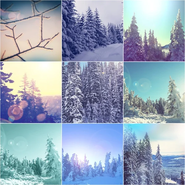 Winter landscape collage Stock Photos, Royalty Free Winter landscape ...