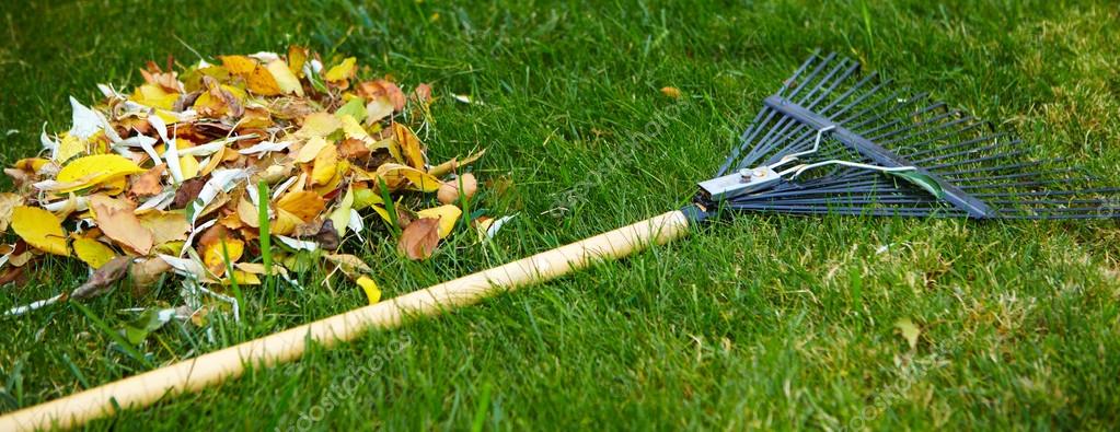 Fall leaves with rake — Stock Photo © petrkurgan #58956125