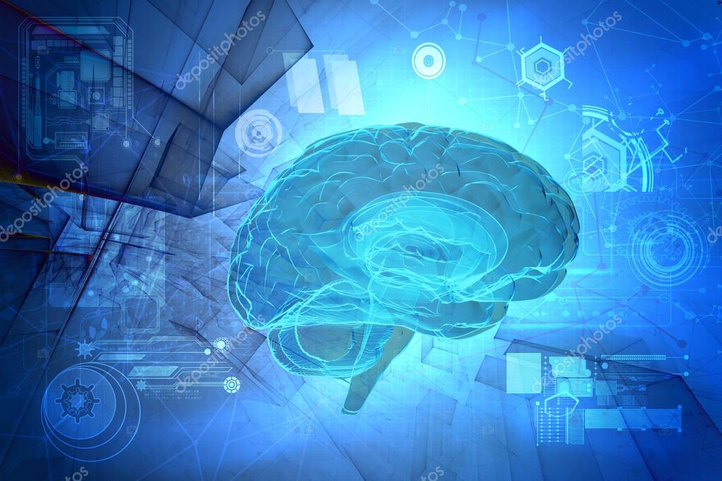 3d human brain on abstract tech background Stock Photo by ...