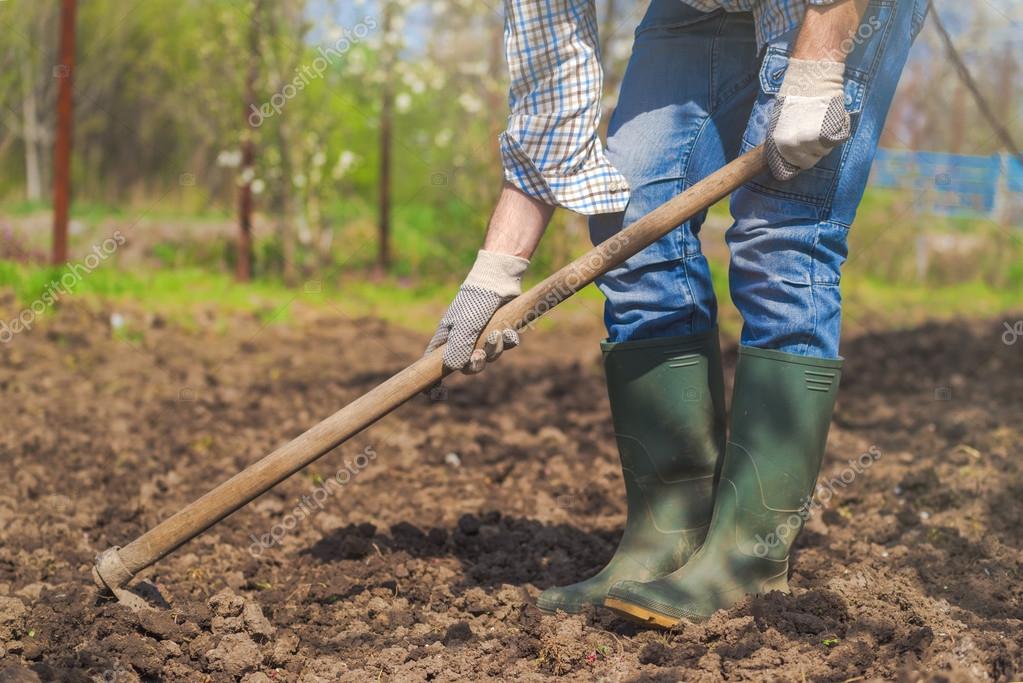 Man hoeing vegetable garden soil — Stock Photo © stevanovicigor #105450652