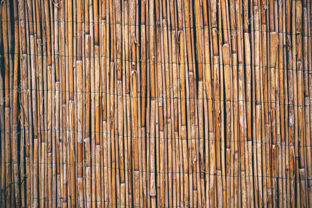 Dry reed straws fence as texture or background Stock Photo by ...