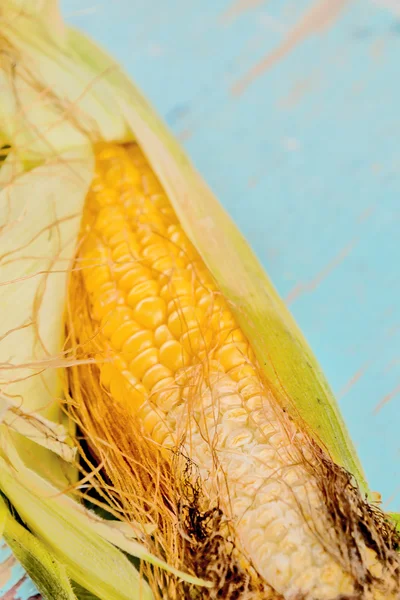 Gm corn Stock Photos, Royalty Free Gm corn Images | Depositphotos®