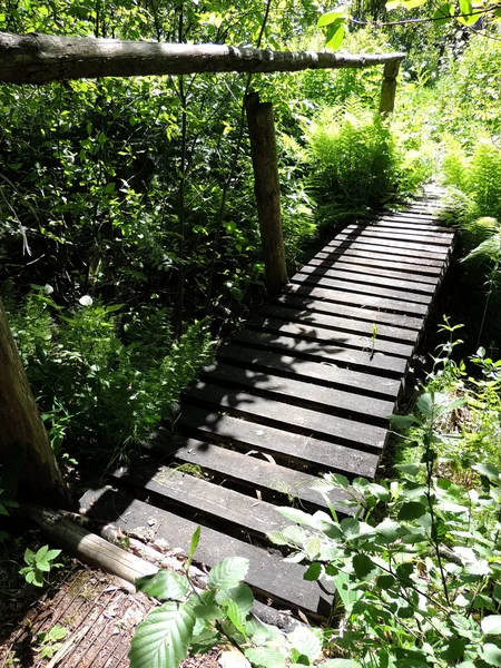 Rustic footbridge Stock Photos, Royalty Free Rustic footbridge Images ...