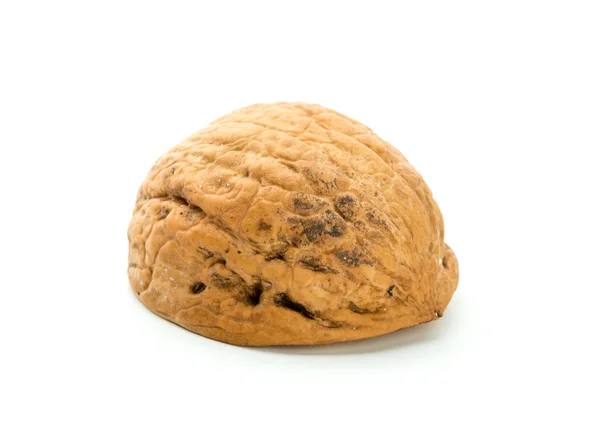 One Walnut shell Stock Photo by ©Nomadsoul1 69377463