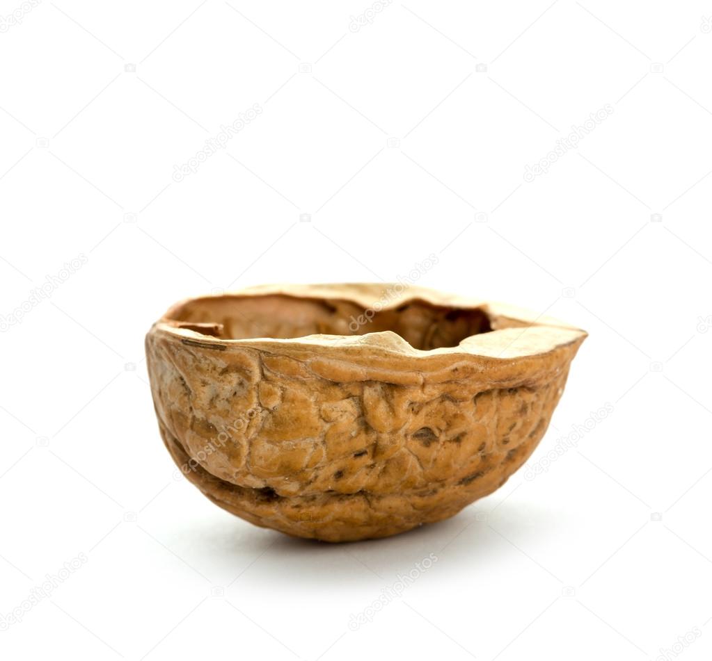 One Walnut shell Stock Photo by ©Nomadsoul1 69377463