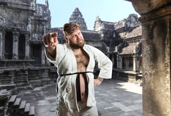 Fat karate fighter Stock Photo by ©Nomadsoul1 72995351