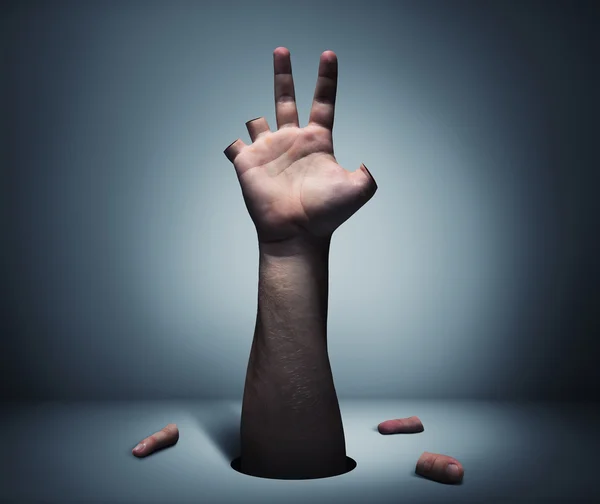 Muerta Stock Photos, Royalty Free Muerta Images | Depositphotos