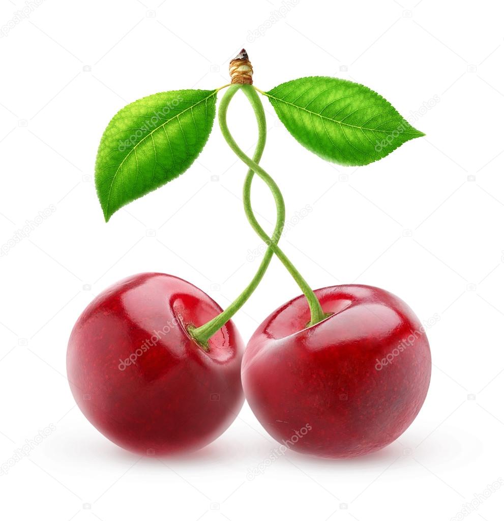 Two isolated sweet cherries with intertwined stems Stock Photo by ...