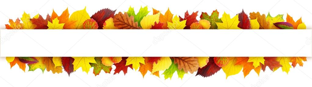 Autumn Leaves Banner