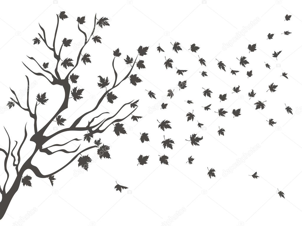 Maples leaves falling Stock Vector by ©huhulin 54475061