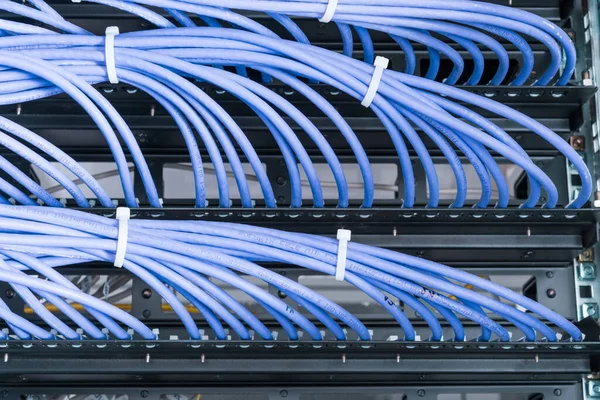Bunch Patch Network Cables Sorted Rack Cabinet Leading Patch Panel ...