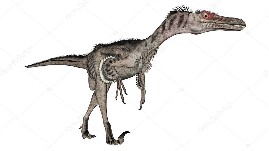 Velociraptor Walking With Dinosaurs
