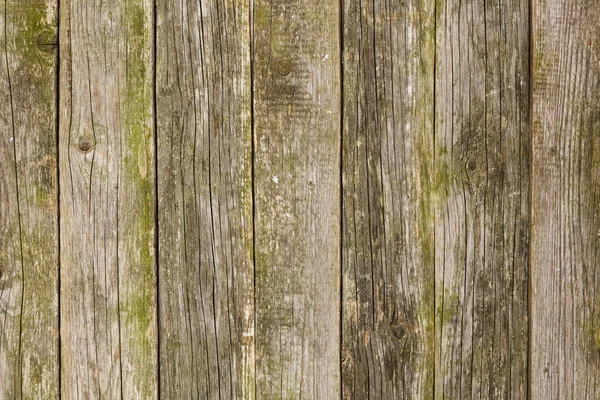 Ply-wood texture Stock Photo by ©gdolgikh 5729601