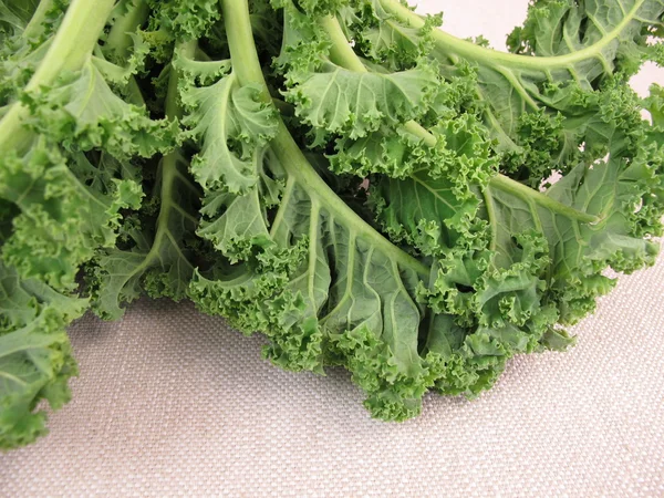 Italian kale Stock Photos, Royalty Free Italian kale Images | Depositphotos