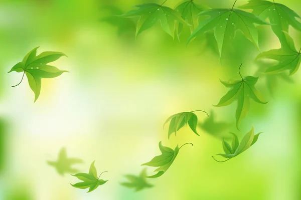Fresh leaves background Vector Art Stock Images | Depositphotos