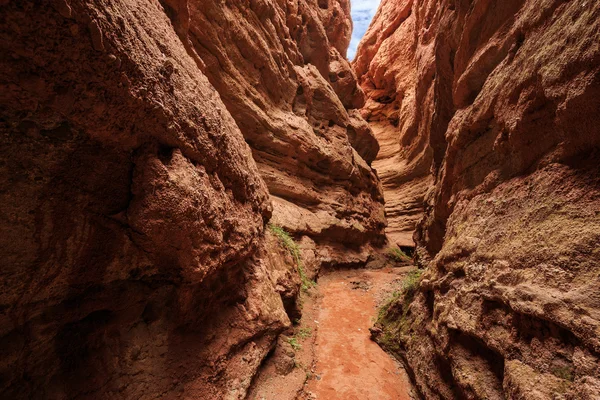 Valley of red sandstone Stock Photo by ©zhudifeng 91440314