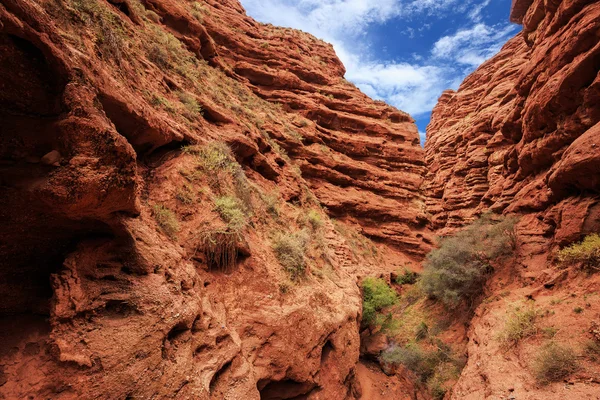 Valley of red sandstone Stock Photo by ©zhudifeng 91440314