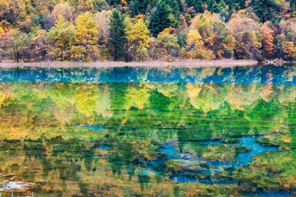 Autumn fairy tale landscapes in jiuzhaigou — Stock Photo © chungking ...